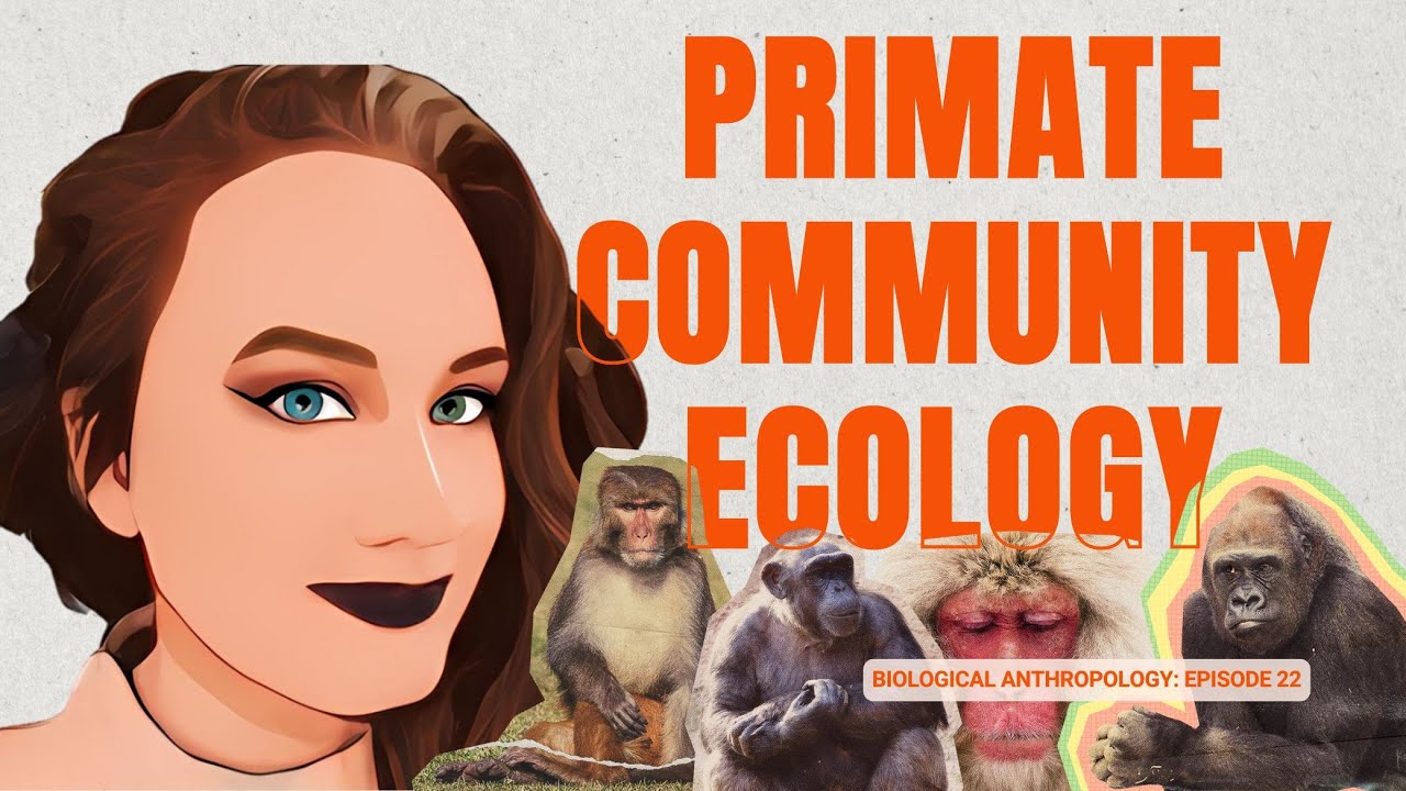 DR H EXPLAINS: Primate Community Ecology