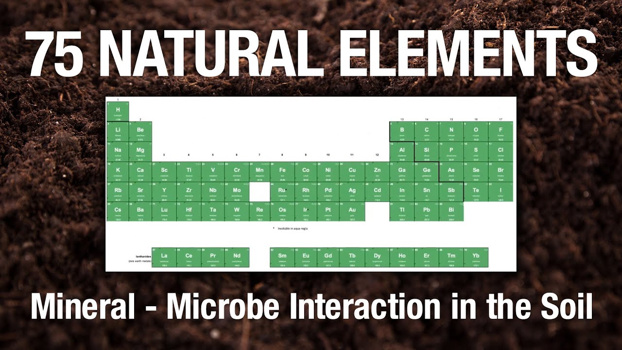 2 Minute Turf Talk - 75 Natural Elements