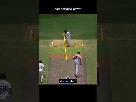 Mitchell Starc set up to take wicket #cricket #shorts #shortsviral #shortsvideo