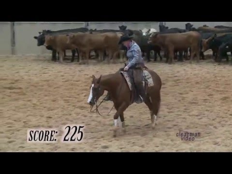 Morgan Cromer and TF High Chex CD score a 225 at Breeders Invitational