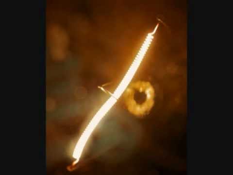 How Do Incandescent Light Bulbs Work?