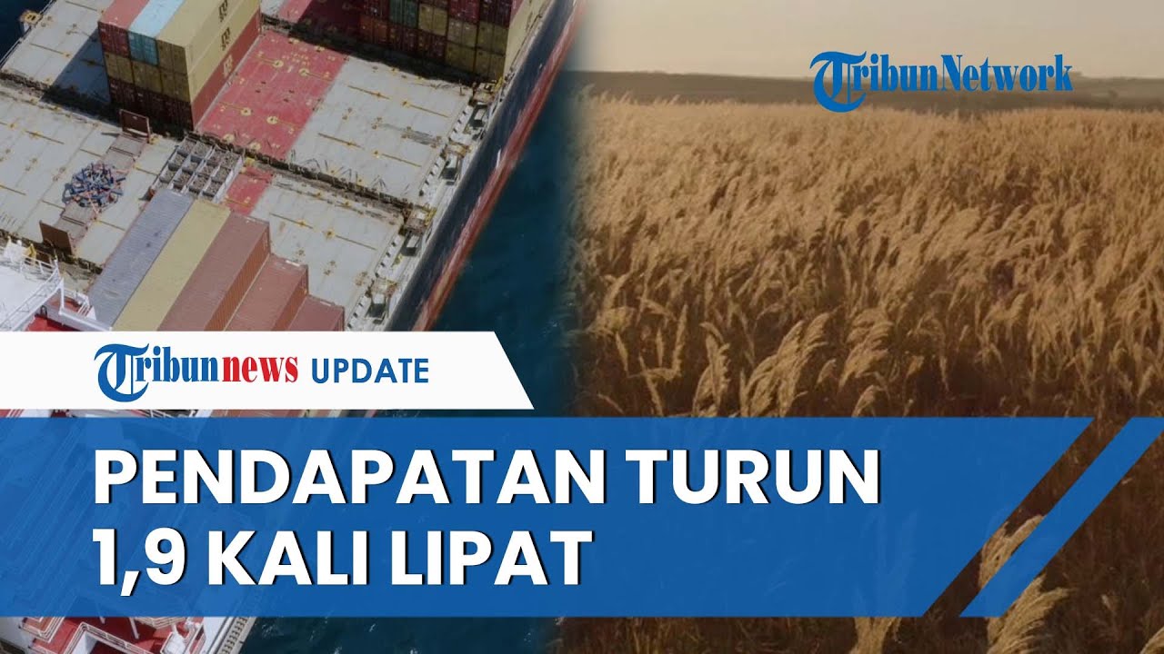 Terpuruk? Pendapatan Ukraina dari Ekspor Biji-bijian Turun Signifikan ...