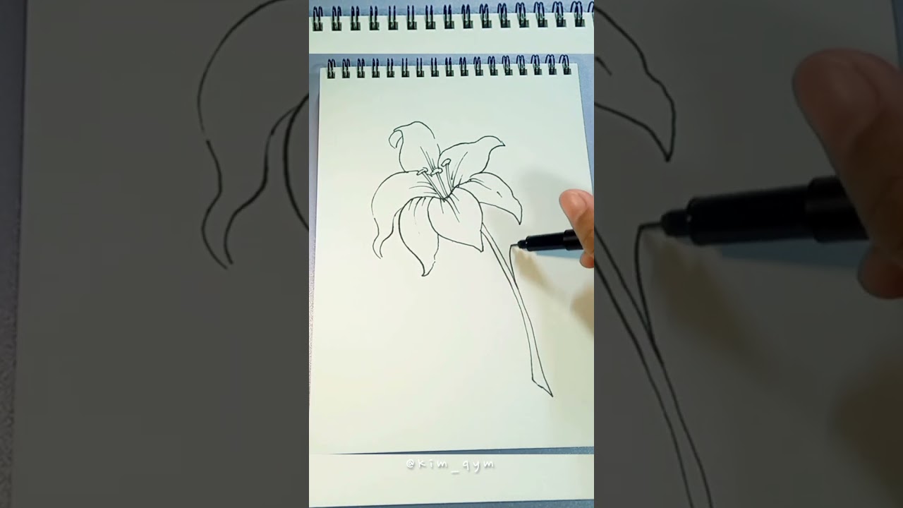 Tutorial Gambar Bunga🌺 #tutorialgambar #seni #lukisan