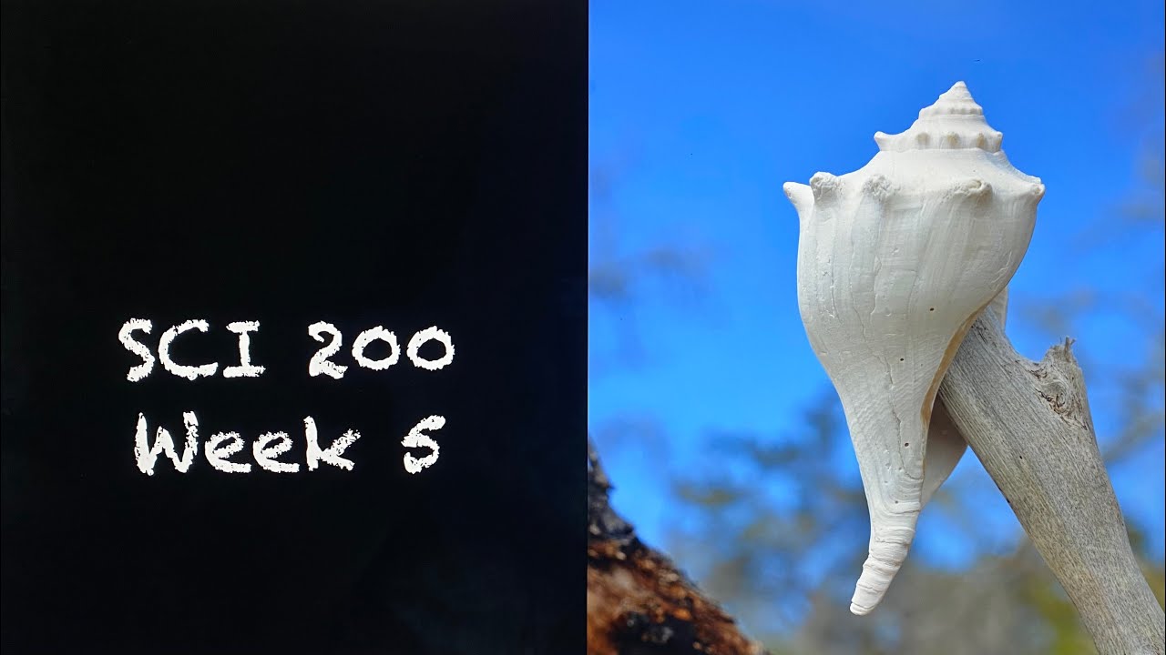 Sci 200 Week 5 Nov 2024