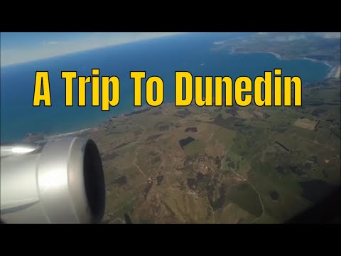 Auckland Airport | A Trip To Dunedin