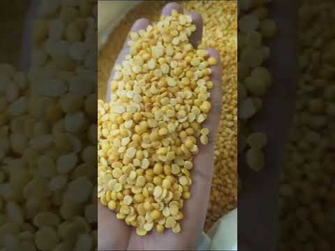 Toor Dal - Wholesale Price & Mandi Rate for Arhar Dal