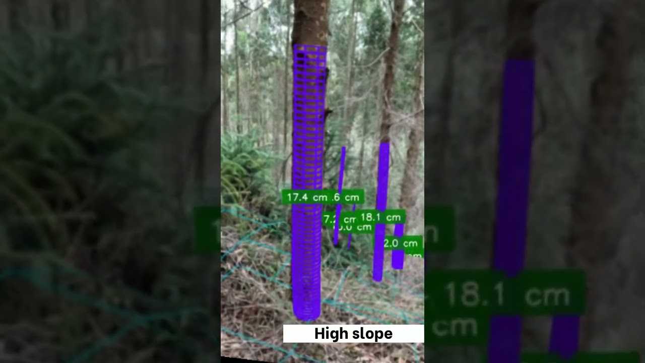 AI for forestry inventories
