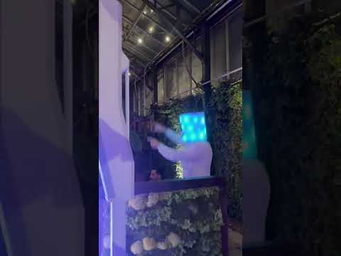 Pro DJ Services - Metro Detroit's Best DJ Services!!
