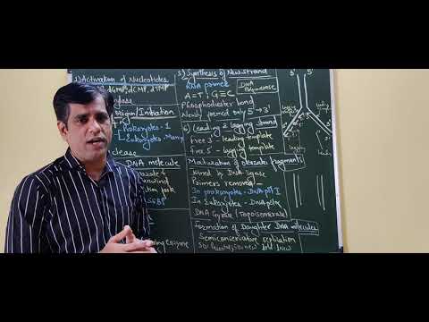 DNA replication #Micro30 DNA polymerase multiple choice questions MCQ biology molecular biology