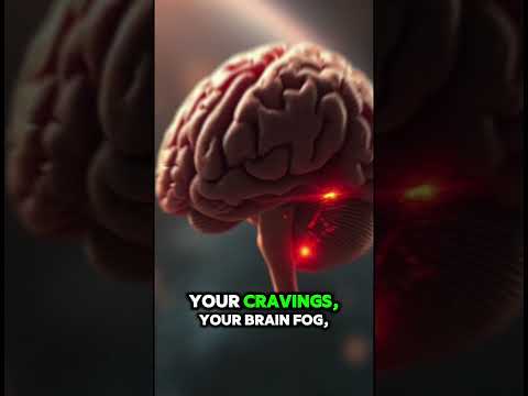 Your Gut Controls More Than You Think — Even Your Mood | Health Hive Insights