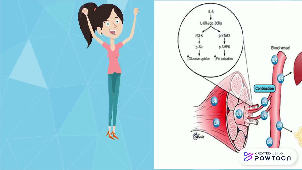 GLUCOGENOLISIS