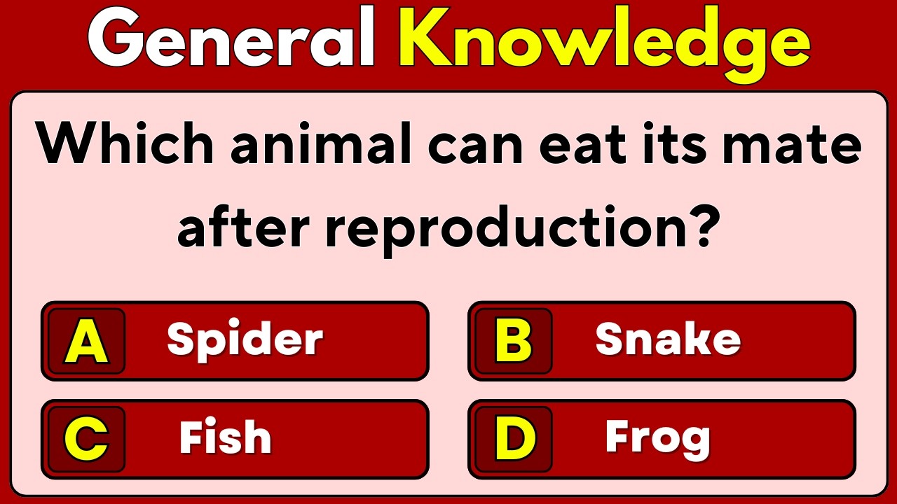 Ultimate General Knowledge Quiz 2026 🧠 | Test Your Brain with 25 GK Questions | Trivia Challenge