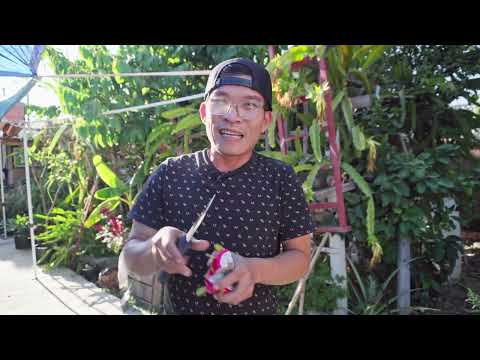 Duong Trung Hieu từ Việt Kiều trở thành thất bại của dân nhập cư