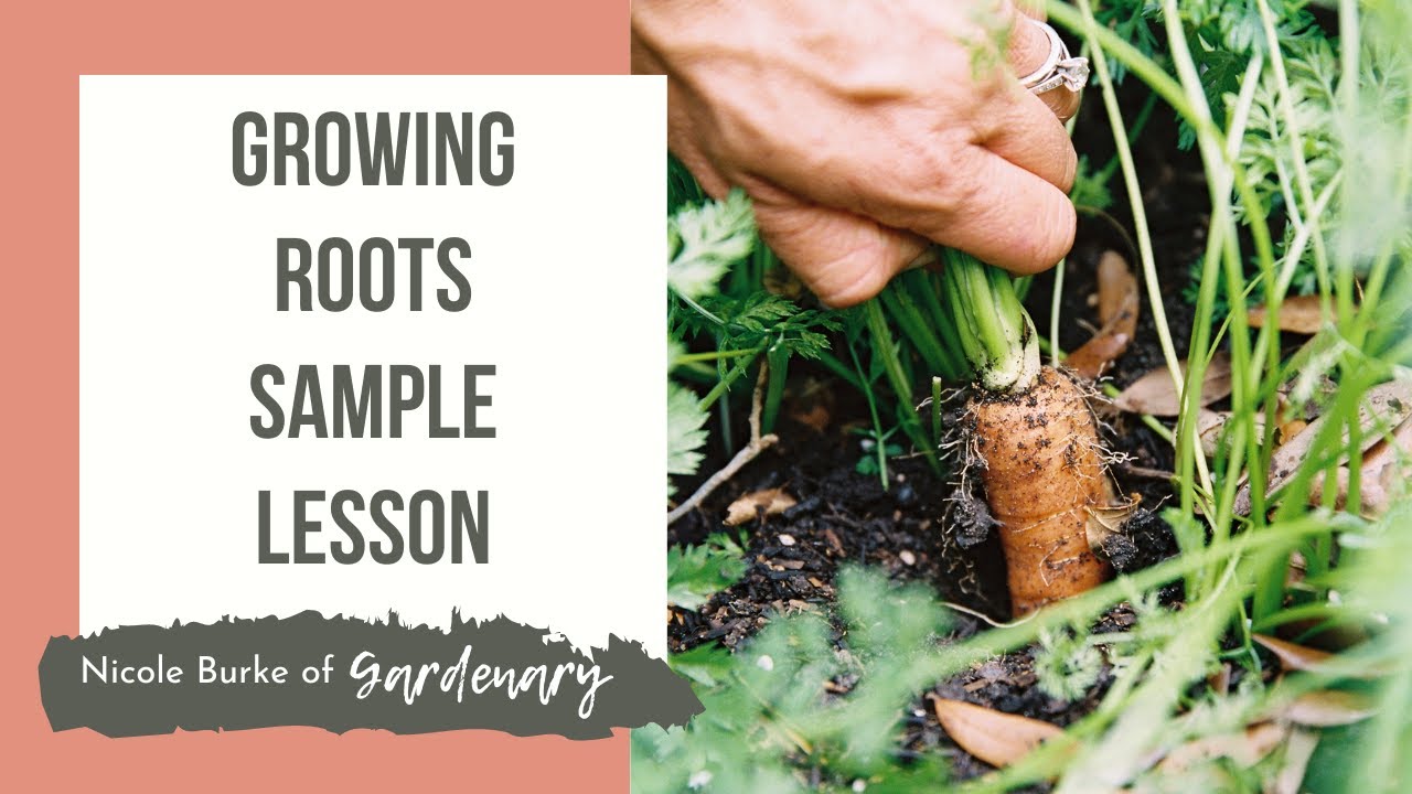 Growing Roots Sample Lesson