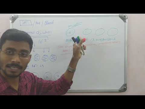 Conventional method of microbial identification | microbial identification| bacterial identification