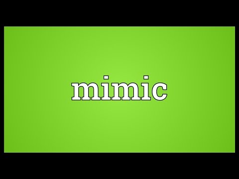 Mimic Meaning