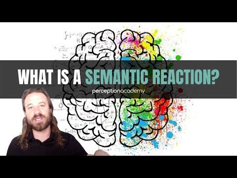 What is a Semantic Reaction (and Examples of Semantic Reactions)