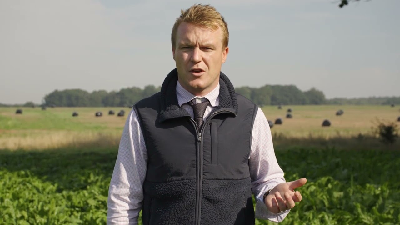 Key Points to Consider for Contract Farming Agreements | Rural Autumn Update