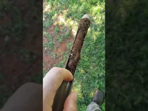 How to take a soil sample