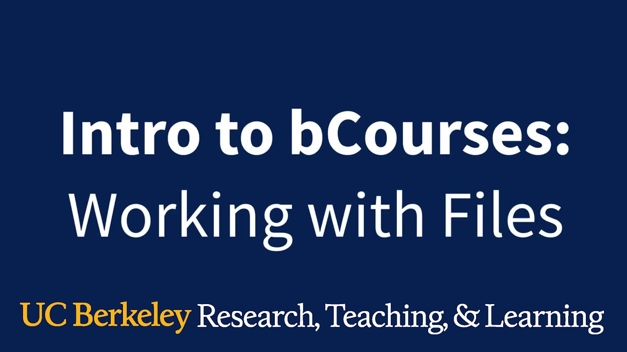 Working with Files in bCourses