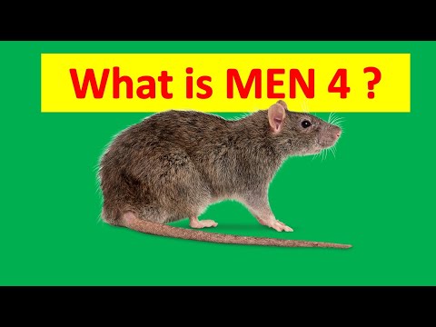 Multiple endocrine neoplasia (MEN) type 4