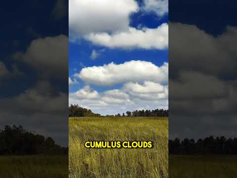 5 Types of Clouds: A Guide to Cloud Classification