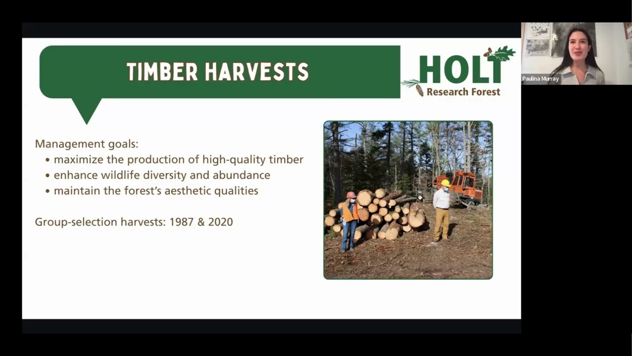 2025 Holt Research Forest Report Webinar Recording