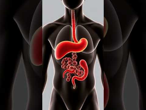 Part 300 | Do You Know What These Medical Acronyms Mean?