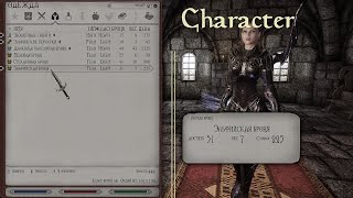 Oblivion Style Inventory Character View by Beinz at Skyrim Nexus - Mods ...