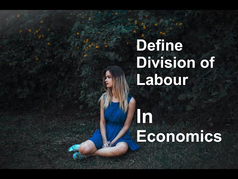 Division of labour