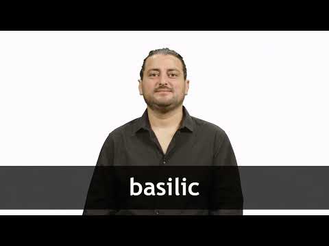 How to pronounce BASILIC in French
