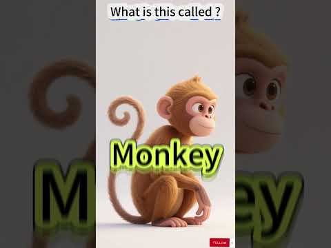 What is this called? #english #learnenglish #vocabularywords #englishforbeginners #education #quiz