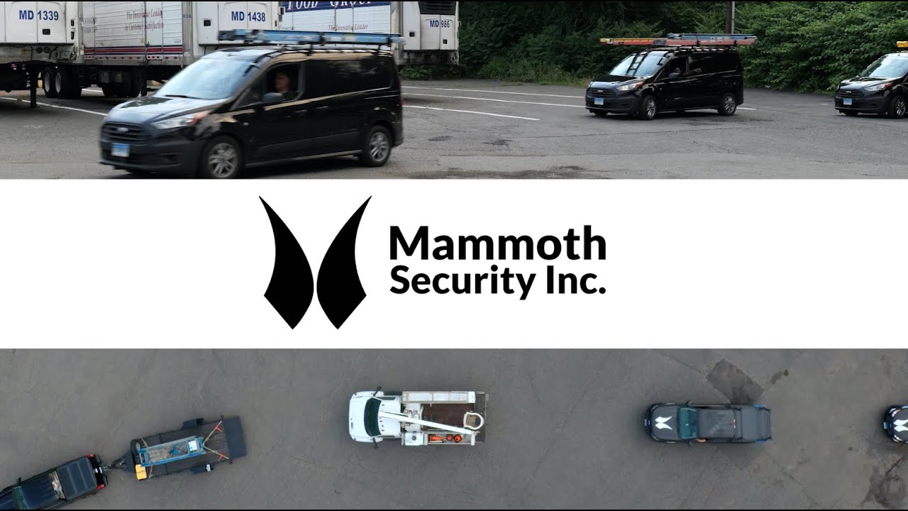 Welcome to Mammoth Security