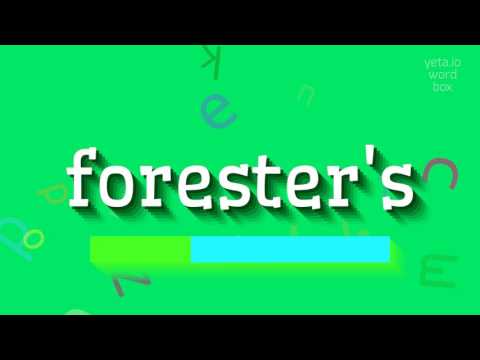 How to say "forester's"! (High Quality Voices)