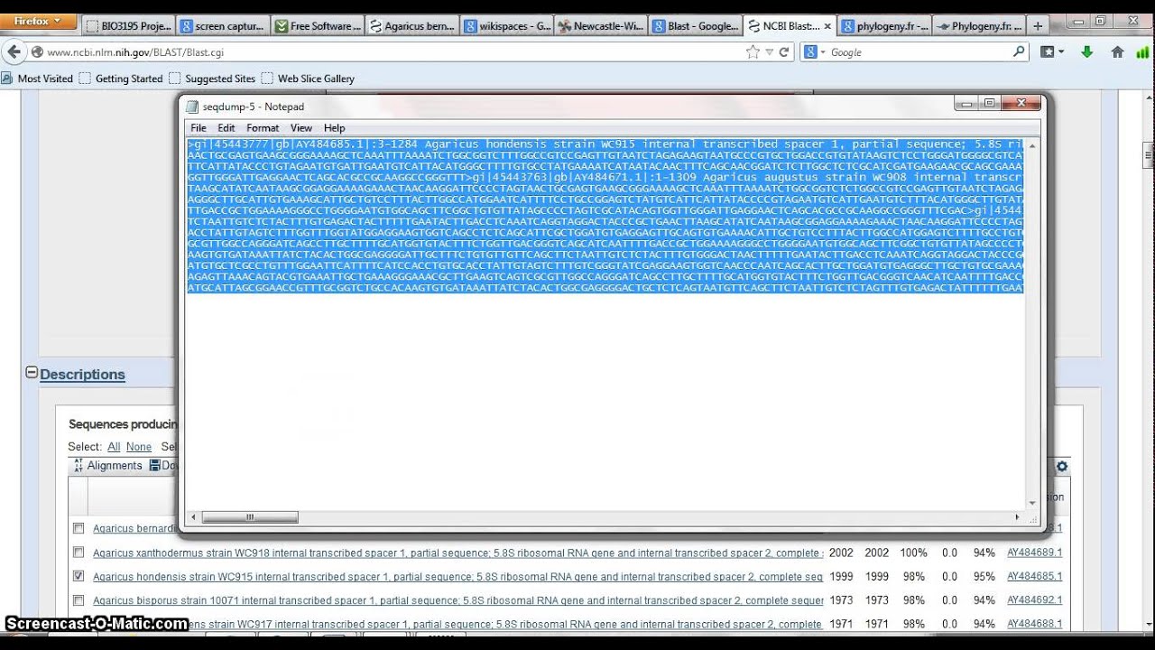 Phylogenetic tree tutorial
