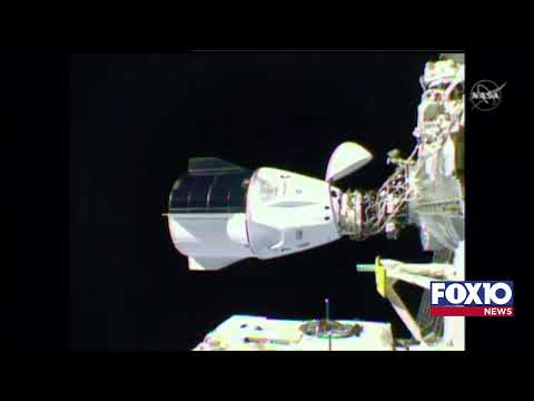 SpaceX capsule with four NASA astronauts docking with International Space Station