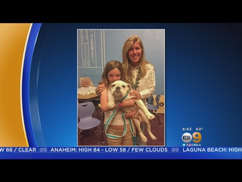 KCAL 9 News Saturday