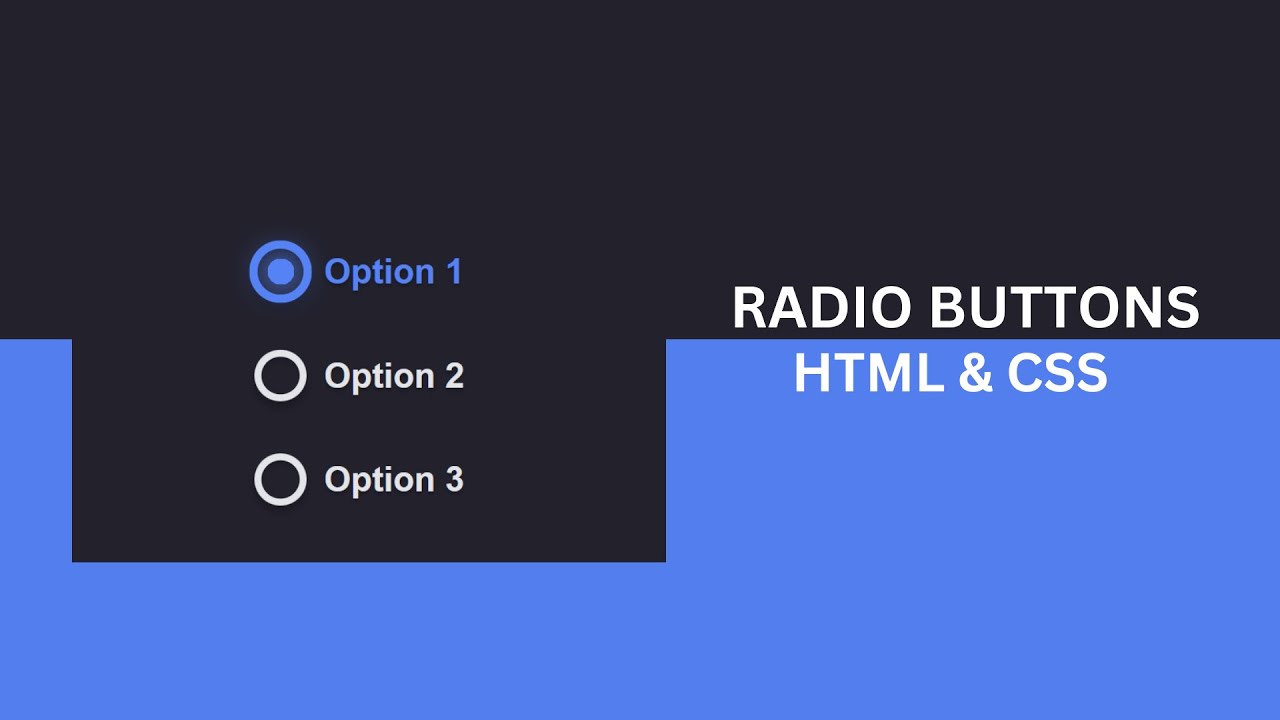 Custom Radio Button Using CSS | CSS Radio Button