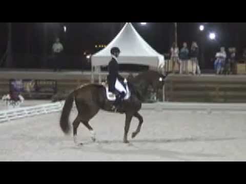 Paragon FS GDF classic CD