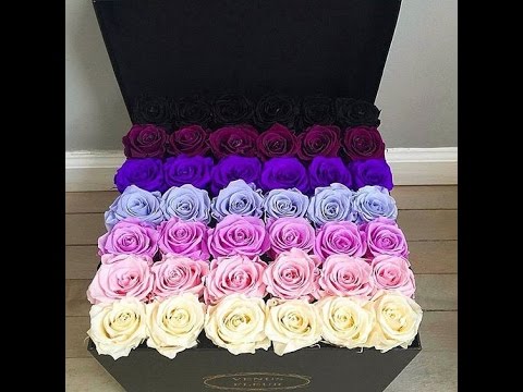 Rose Color Meanings Choose the Right Color for Your Roses