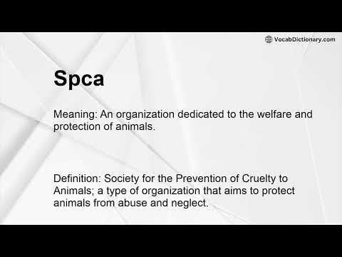 Spca Meaning