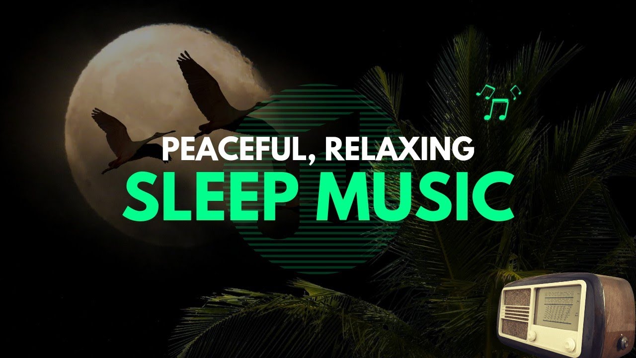 Relaxing nature and meditation,sleeping,study,pinon music