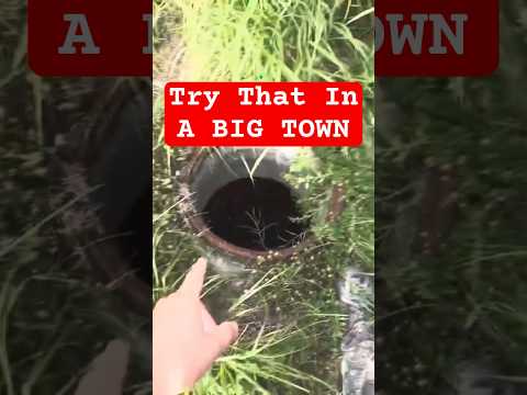 Try That In A Big Town! Polk County, Florida