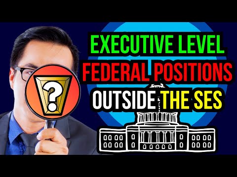 You’ve Heard About the SES, But What About Other Executive Level Positions in the Government?