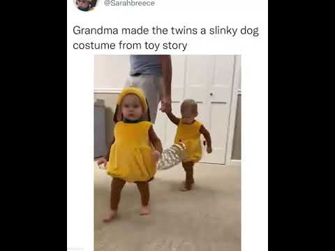 🐶Slinky dog Toy story costume🐕