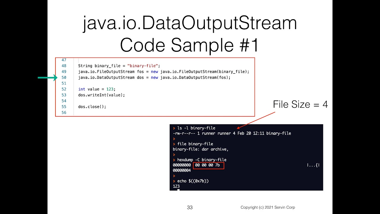 Data Structures Using Java: Binary Files