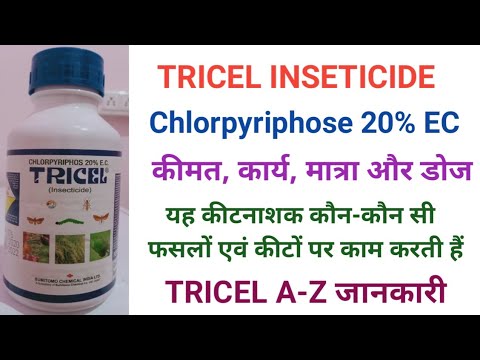 Anti Termite Chemical - Termite Treatment Chemicals Latest Price ...