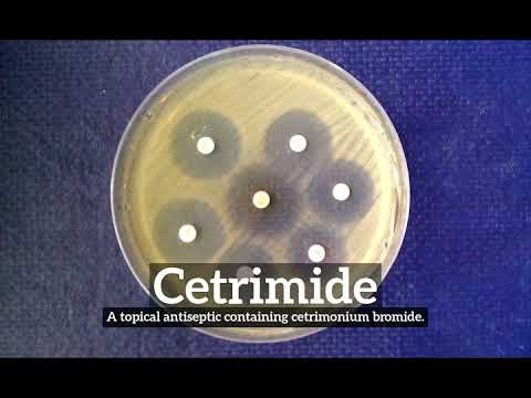 Cetrimide Powder - Cetrimide API Latest Price, Manufacturers & Suppliers