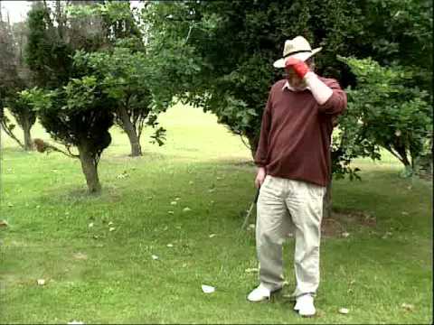 Golf Rules Quiz
