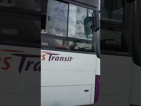 [CAMEO??] SBST SCANIA K230UB SBS8530K on Service 33 #shorts